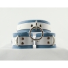 Crystal Blue Collar n Cuffs | ASLAN Leather